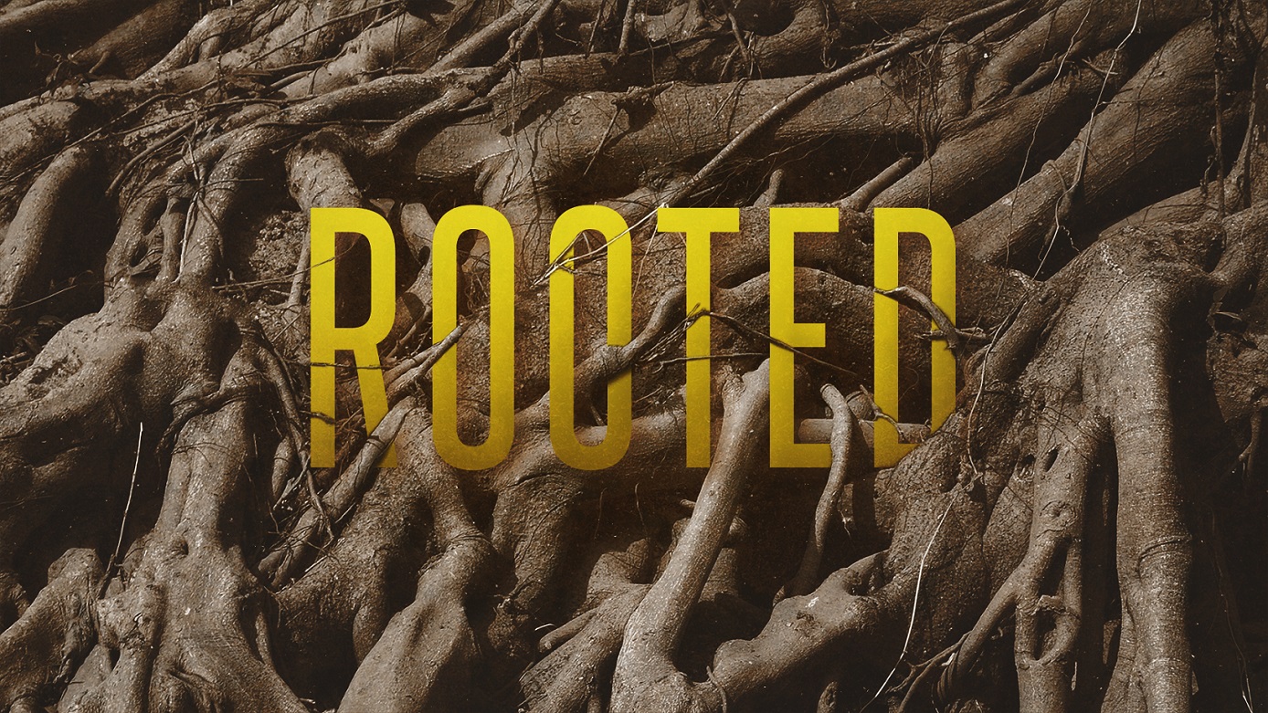 Rooted - Gracepoint Church